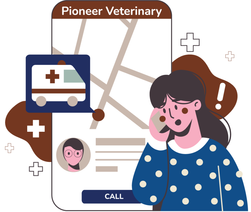 Emergency and After-hours Services | Pioneer Veterinary Services
